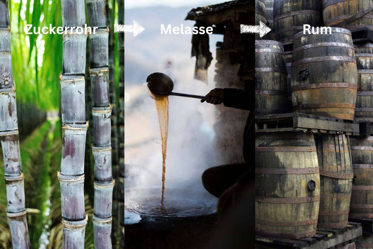 Warenkunde Rum: Herstellung, Sorten und Verwendung | g-wie-gastro